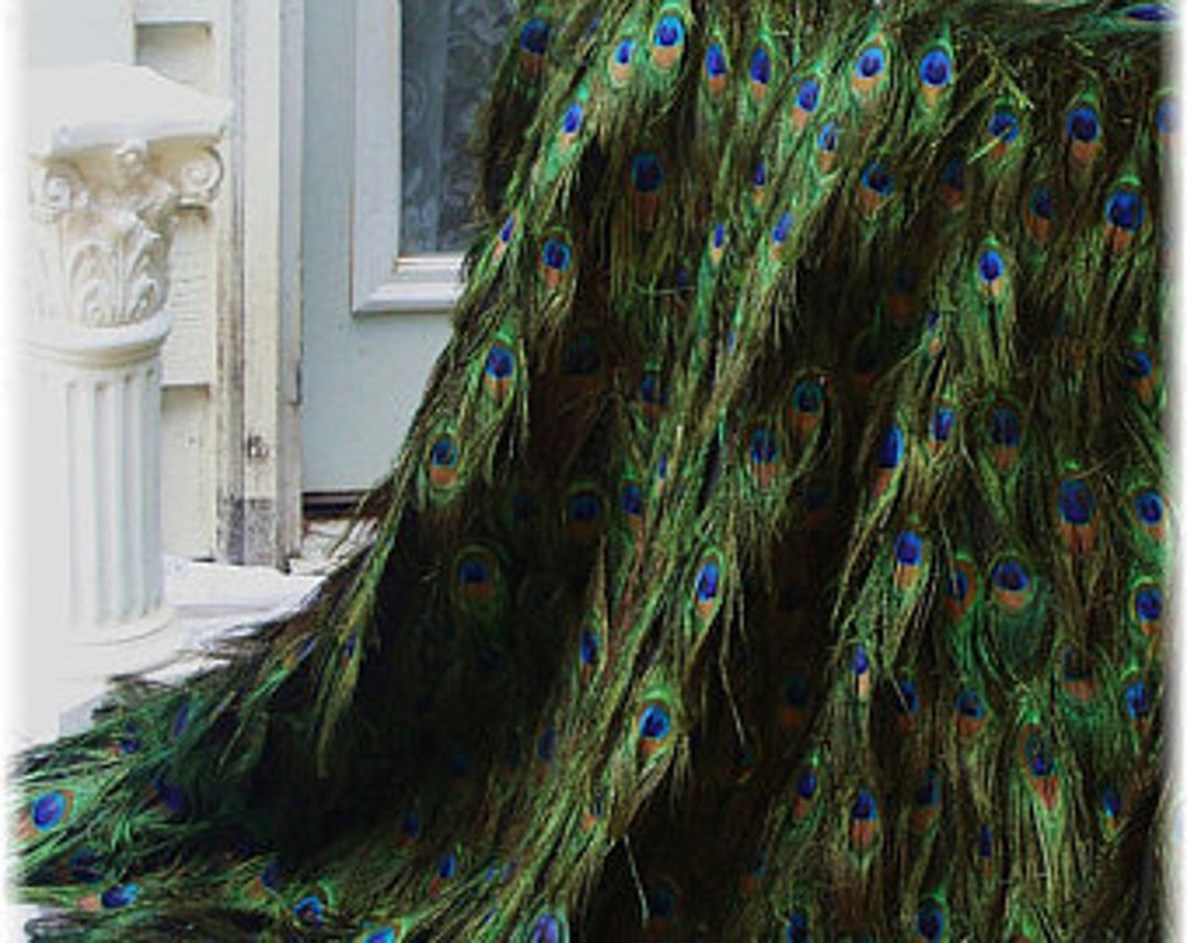 Peacock Feather Tablecloth Extravagant Luxurious Rococo Gatsby - Etsy