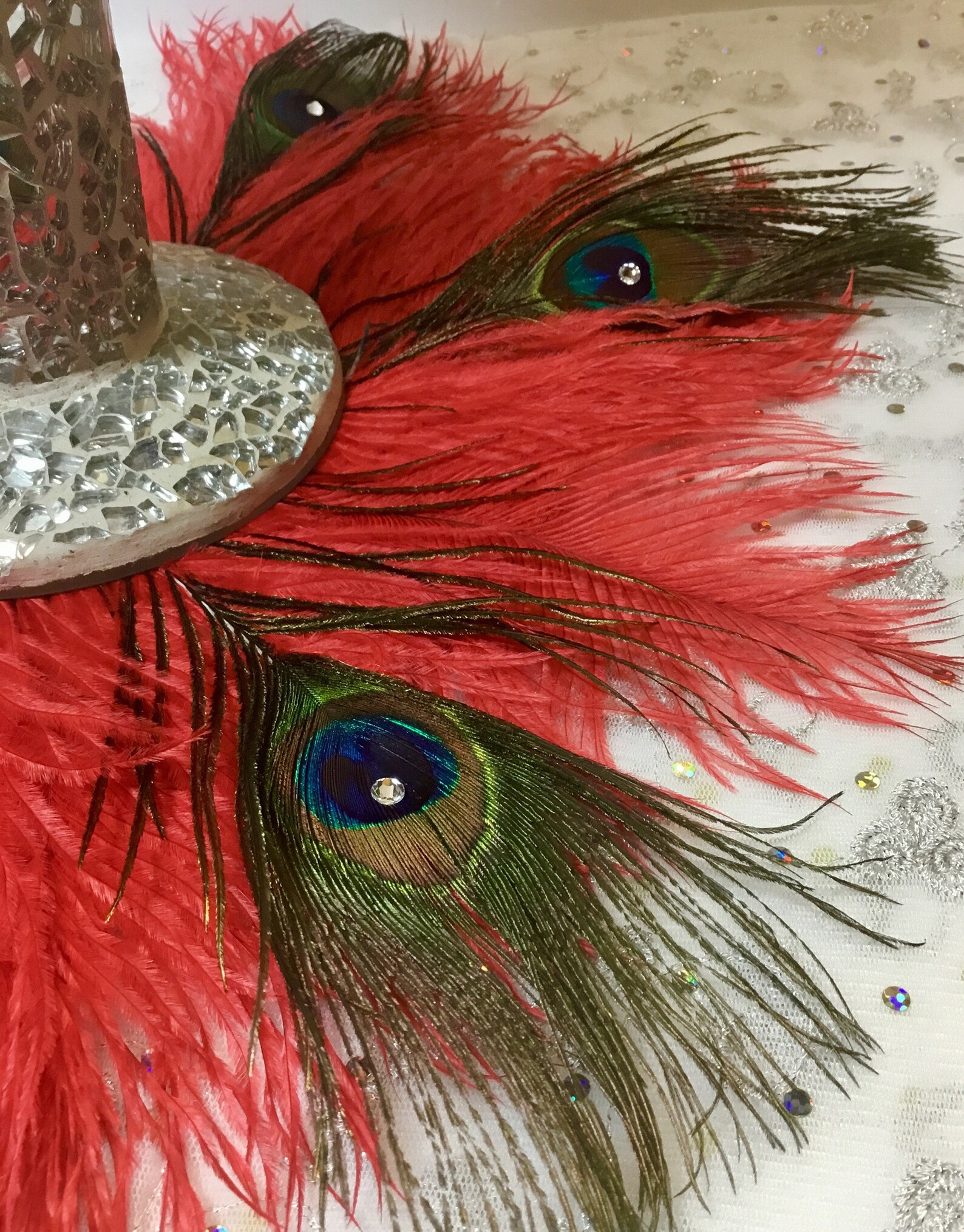 Exquisite Ostrich and Peacock Feather Mat With Crystals in - Etsy