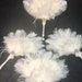 Great Gatsby Ostrich and Goose Feather Fan in Your Choice of - Etsy