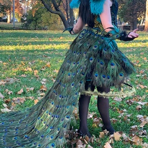 RENAISSANCE Renn Faire Peacock Feather Tail Train Full Length Costume ...