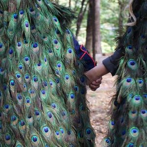 Romantic Highlander Renaissance EXTRA FULL Peacock Feather Cape for Men ...