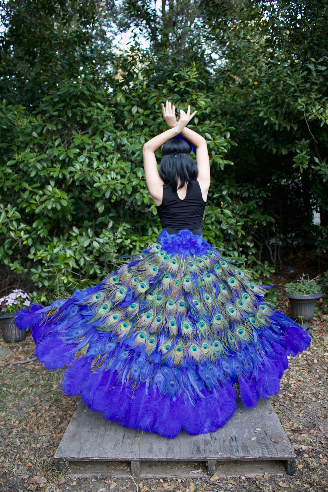 Peacock Feather Fan Tail AND Train Dance Costume in Your Choice of ...