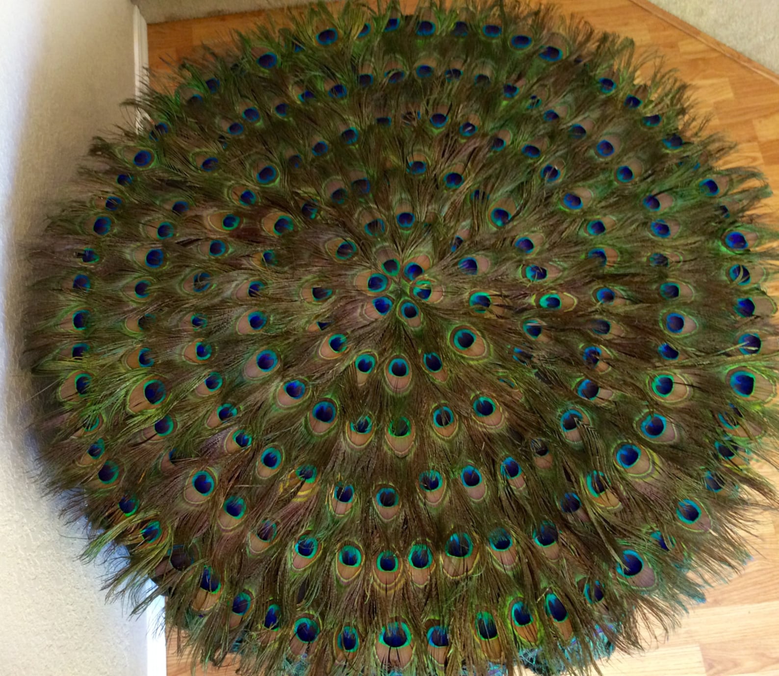 Peacock Feather Tablecloth Extravagant Luxurious Rococo Gatsby | Etsy