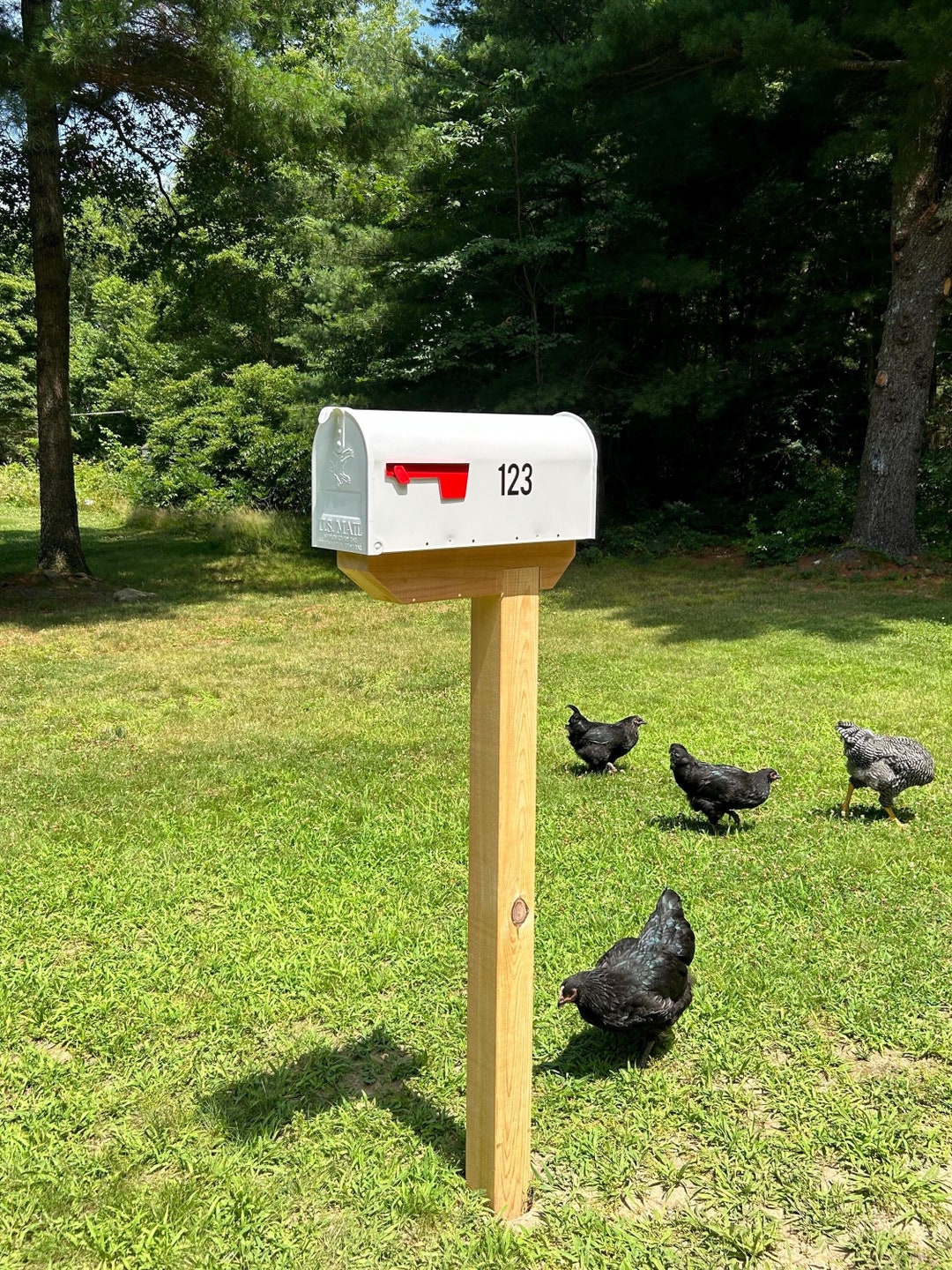 Premium Sturdy Cedar Mailbox Post Cut From High Quality Wood Free ...