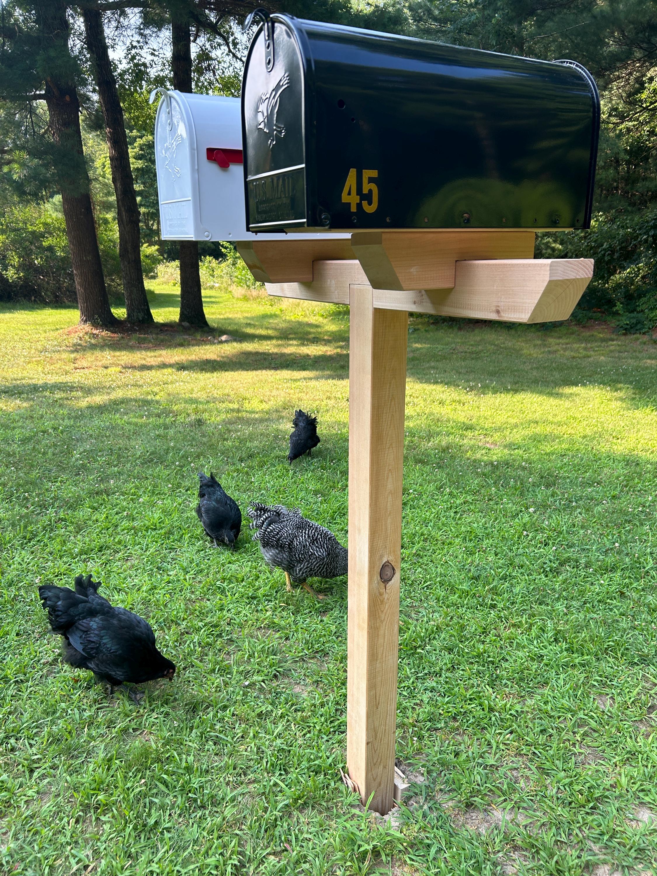 Double Mailbox Post Premium Cedar, High Quality Design and Precision ...