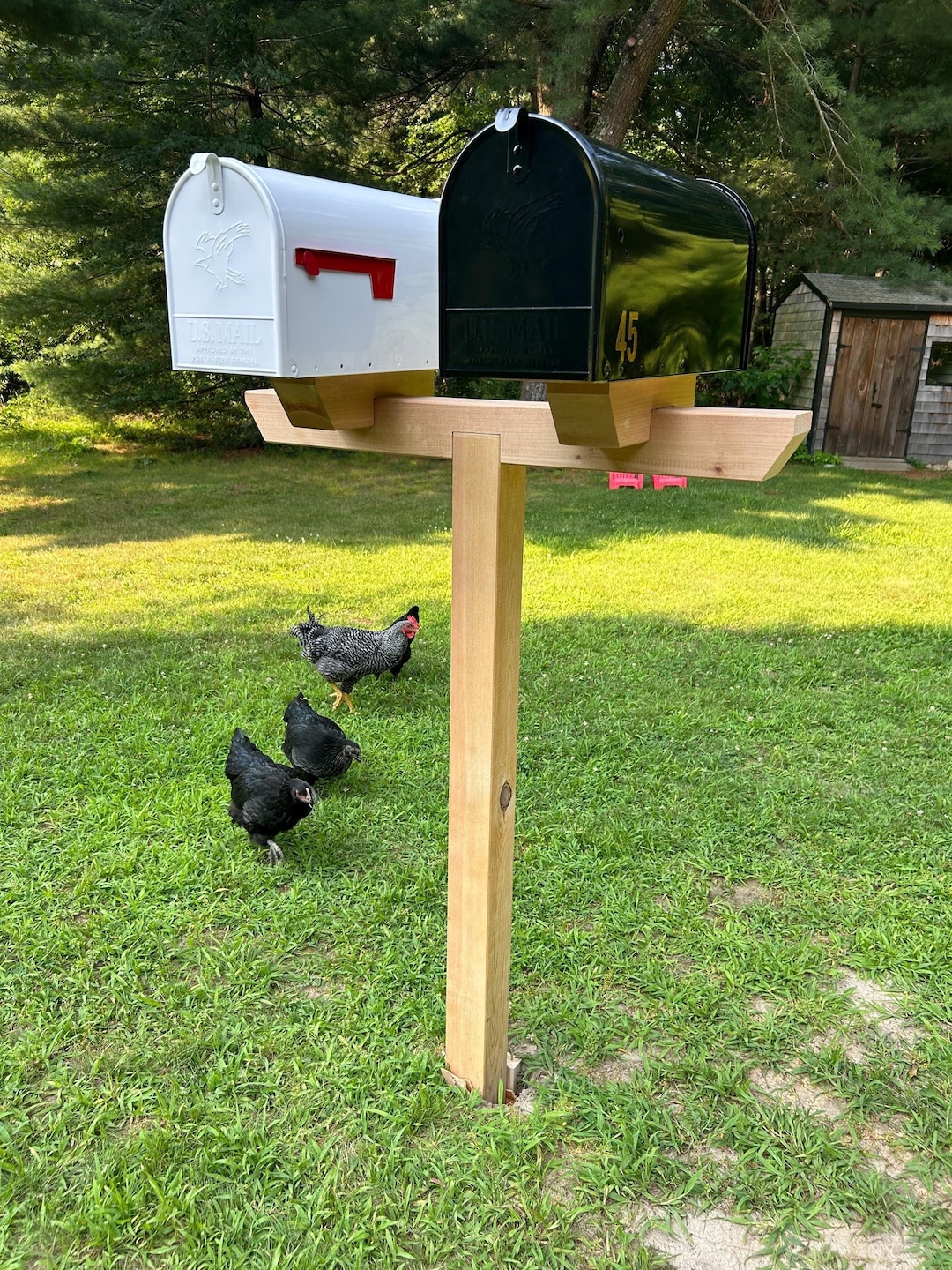 Double Mailbox Premium Cedar, High Quality Design and Precision Cuts ...
