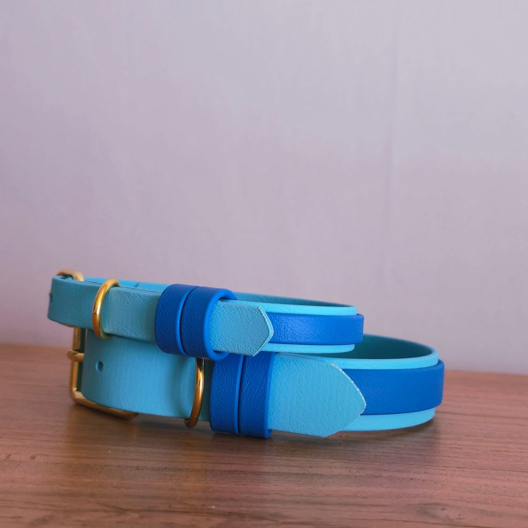 Biothane Waterproof Dog Collar Blueberry on Sky Blue Stripe - Etsy