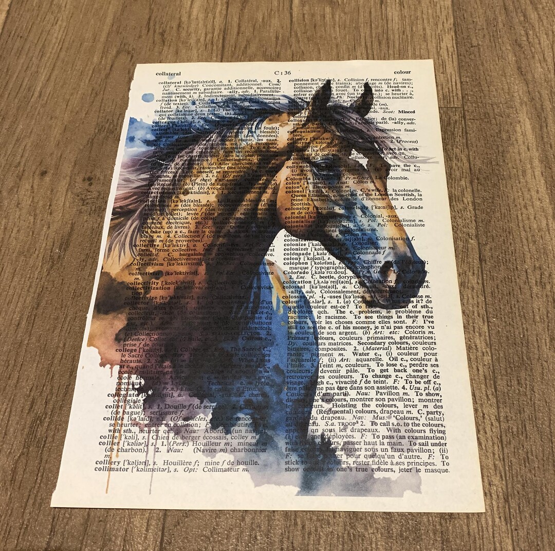 Horse-themed Dictionary Print - Thoroughbred Portrait Poster /R258 - Etsy