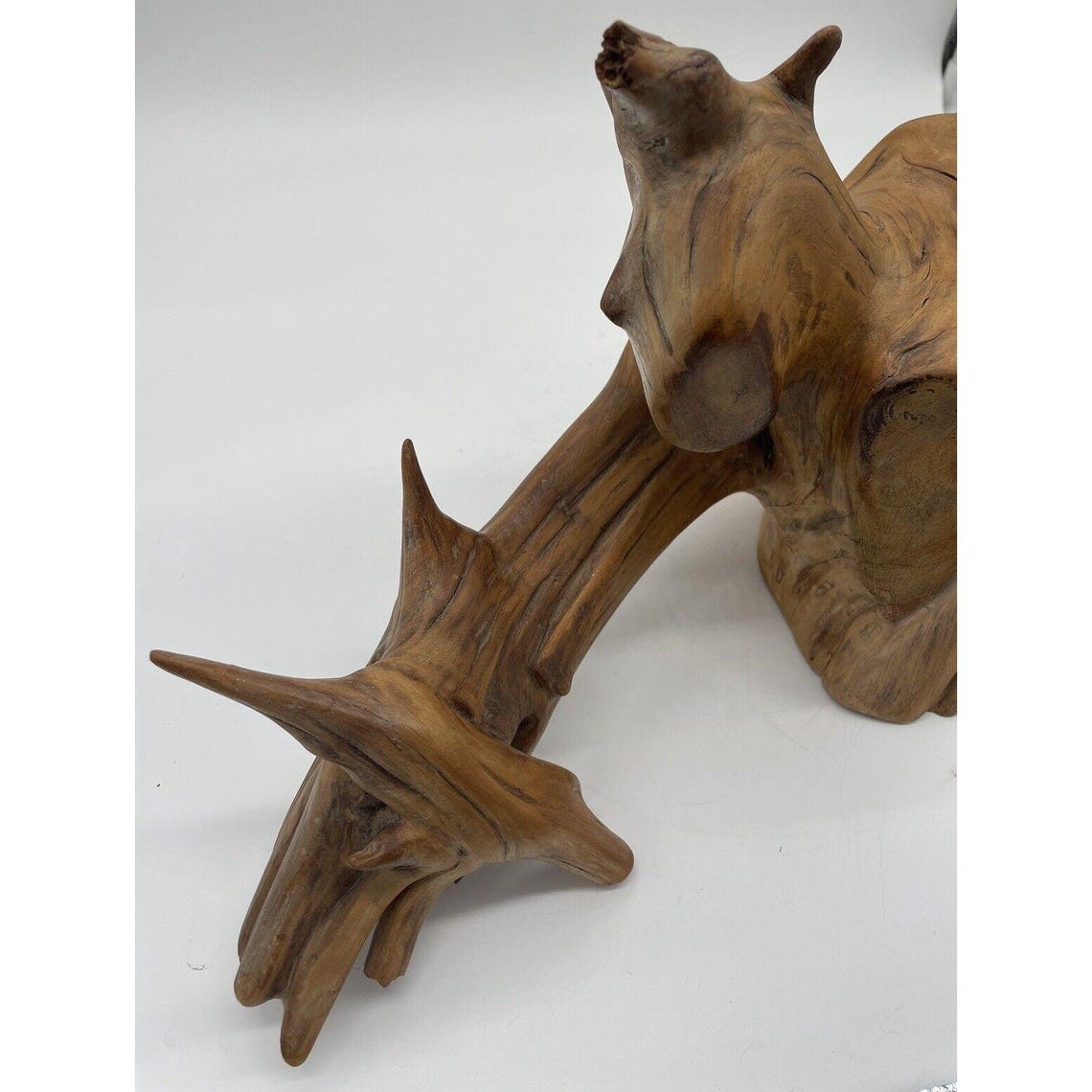 Natural Tree Root Stump Decorative Wood Piece Forest Sculpture - Etsy