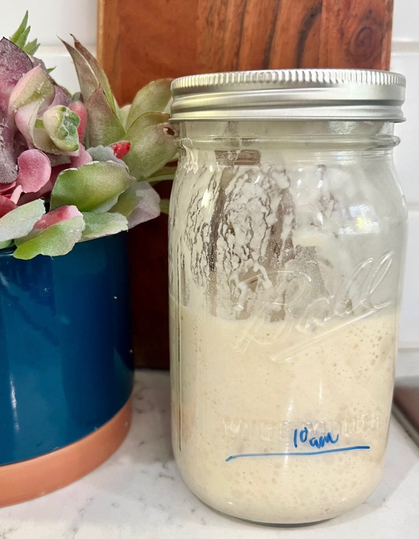 Organic Dehydrated Sourdough Starter 10oz for Homestead Bread Making ...