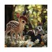 24x24 Inch Fawn, Baby Deer, Weasel, Ferret, Rabbit, Bunny in Flowering ...