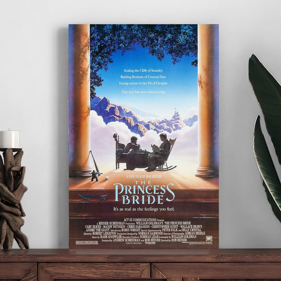 The Princess Bride Movie Poster,home Decor Poster,room Decoration ...