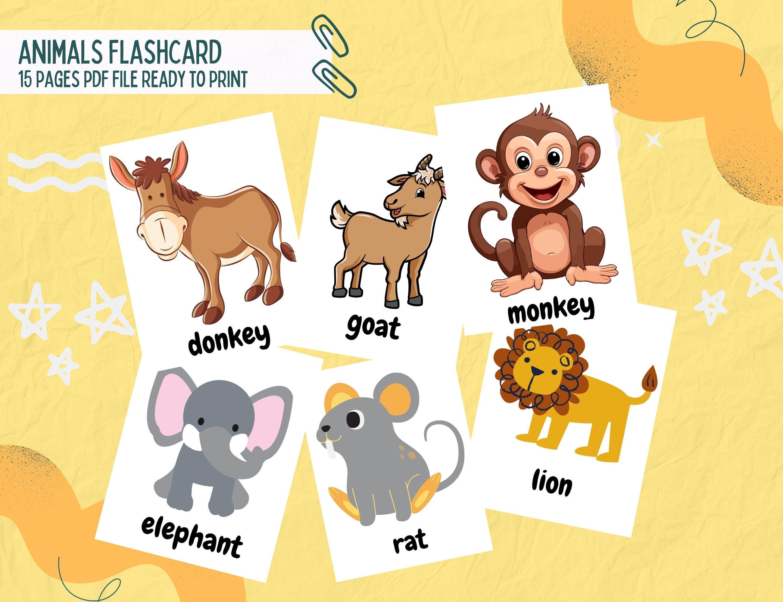 Animal Flashcards, Printable Flashcards, Preschool Flashcards, Toddler ...