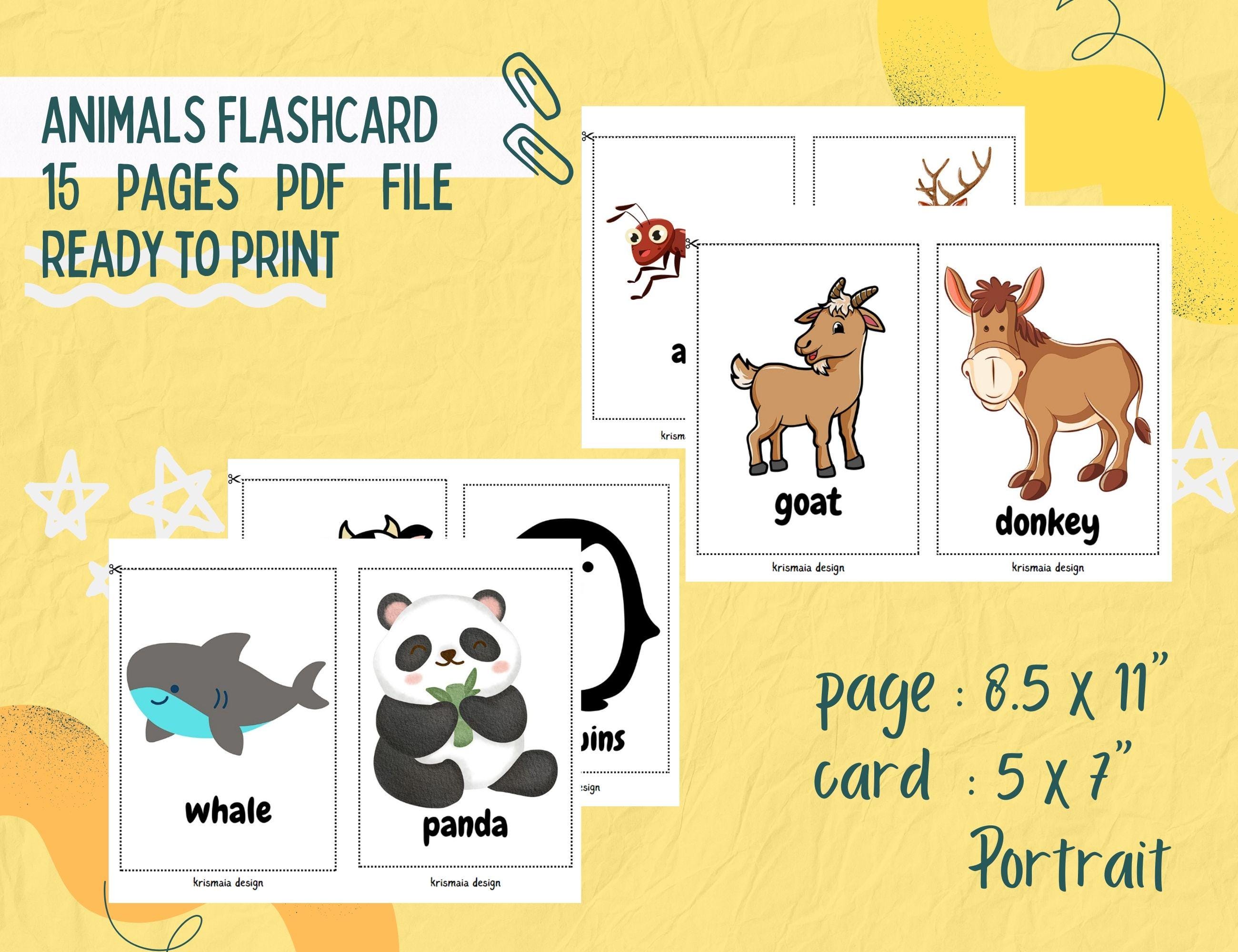 Animal Flashcards, Printable Flashcards, Preschool Flashcards, Toddler ...
