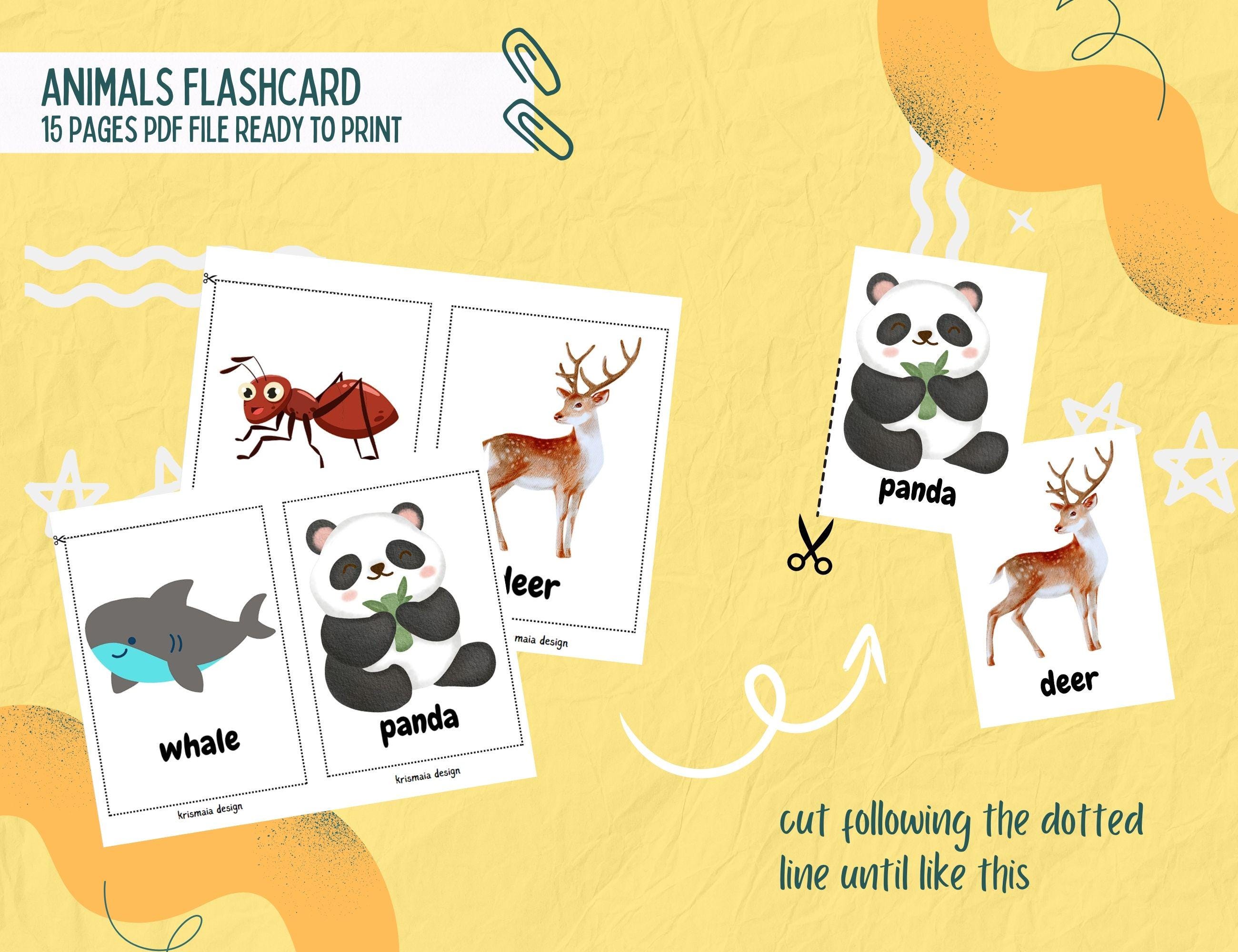 Animal Flashcards, Printable Flashcards, Preschool Flashcards, Toddler ...