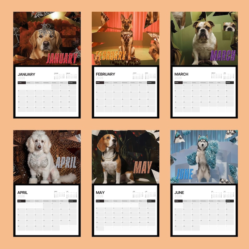 The Life of a Show Dog 2026 Calendar, Funny Dog Show Calendar, Cute ...