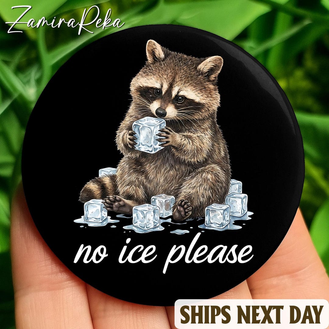 Abolish ICE Pin Button: No ICE Please Racoon, Immigration Rights Pin ...