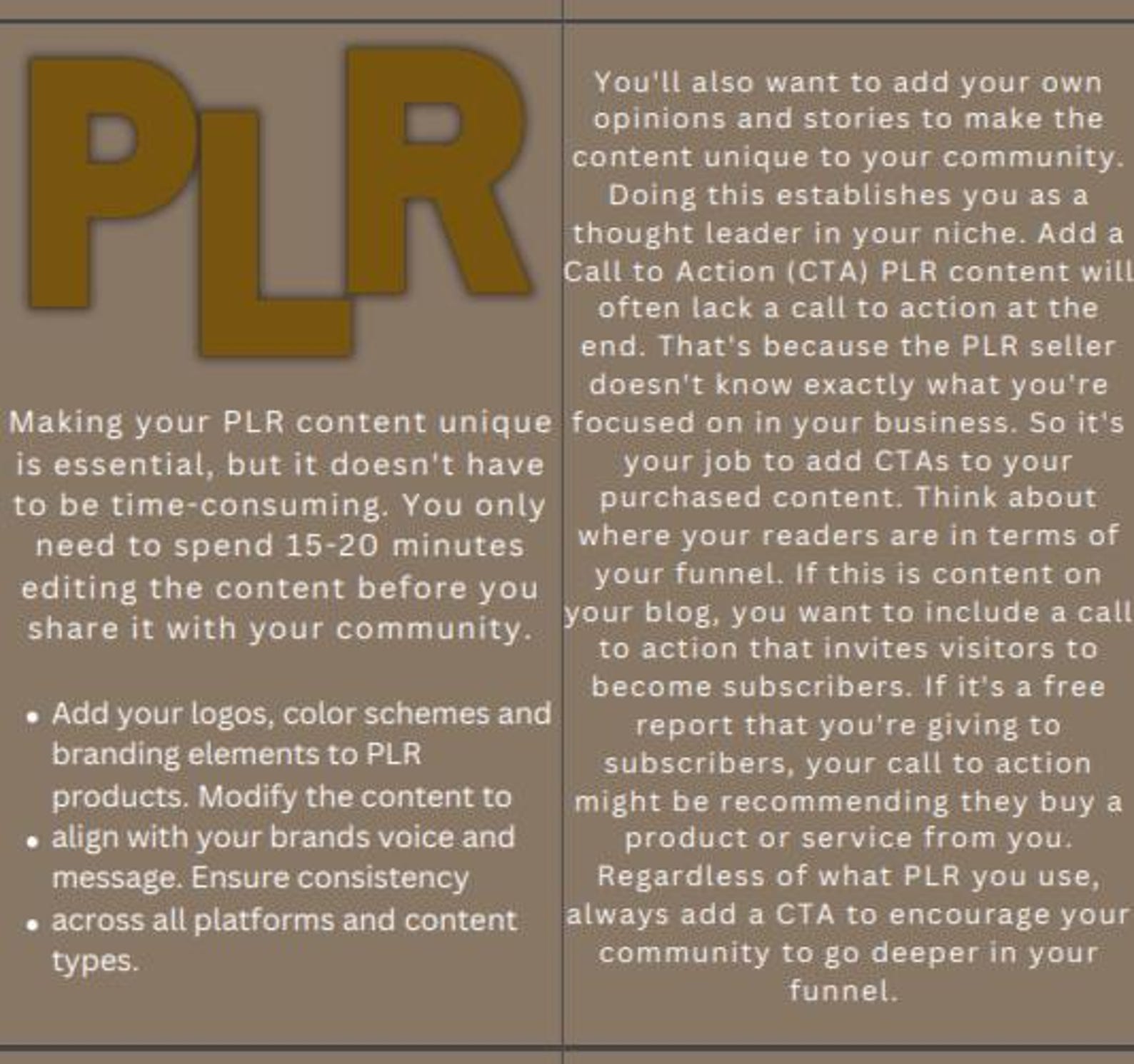 Faceless PLR/MMR Digital Guide Resell Rights Editable Content Content ...