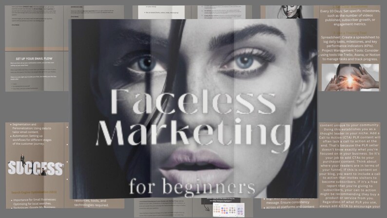 Faceless PLR/MMR Digital Guide Resell Rights Editable Content Content ...