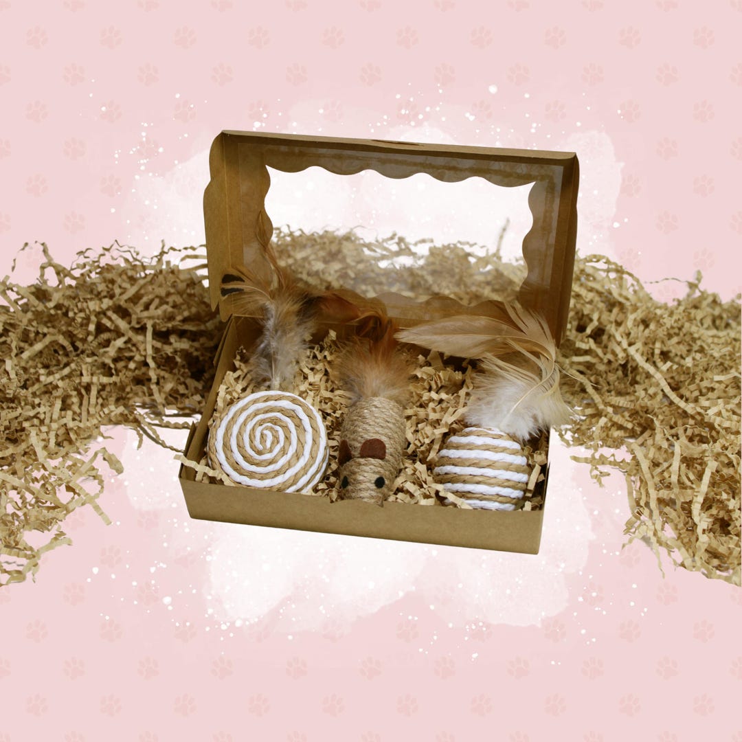 Gift Box Cat and Kitten, Cat Toys Gift Box, Handmade Toys, Goodie Box ...