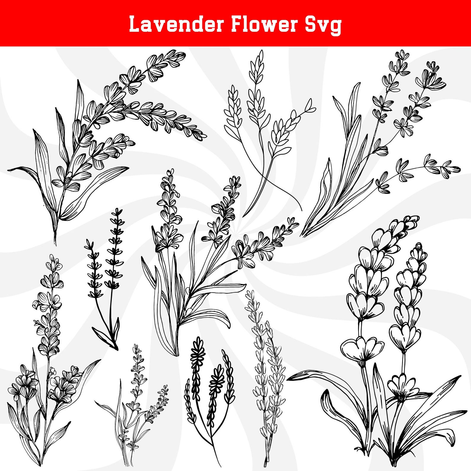 Lavender Flowers Svg, Lavender Flower Png, Lavender Flower Clipart ...