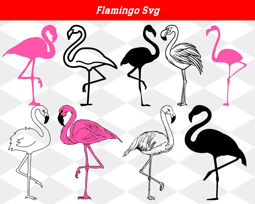 Flamingo Svg, Cute Flamingo Svg, Flamingo Silhouette, Pink Flamingo Svg ...