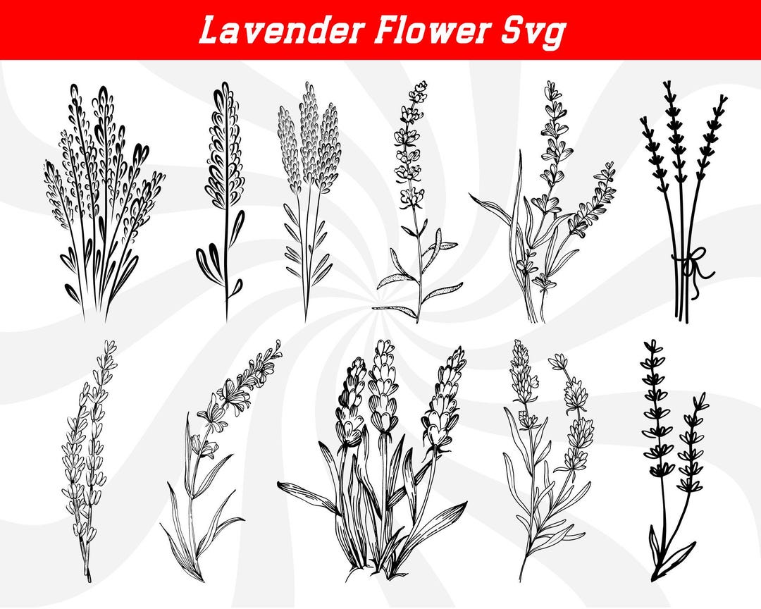 Lavender Flowers Svg, Lavender Silhouette, Flower Svg, Flower Clipart ...