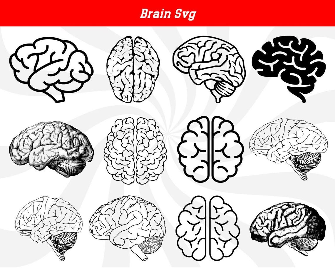 Cerveau svg, clipart cerveau, cerveau humain svg, silhouette cerveau ...