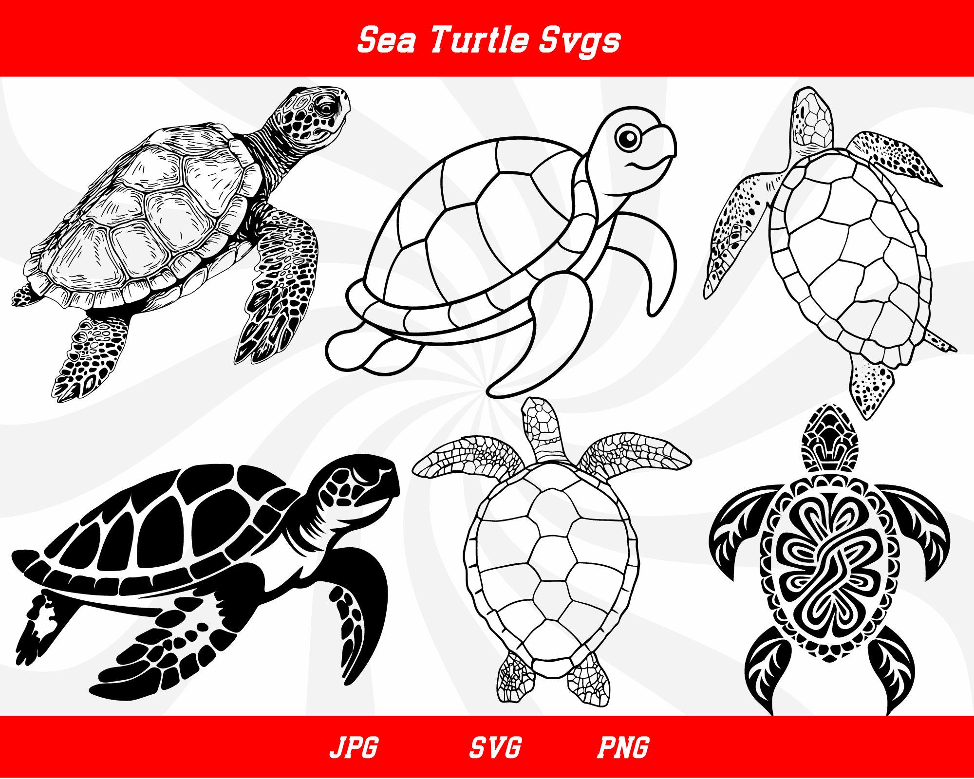 Sea Turtle Svg, Sea Turtle Clipart, Sea Turtle Png, Turtle Silhouette ...