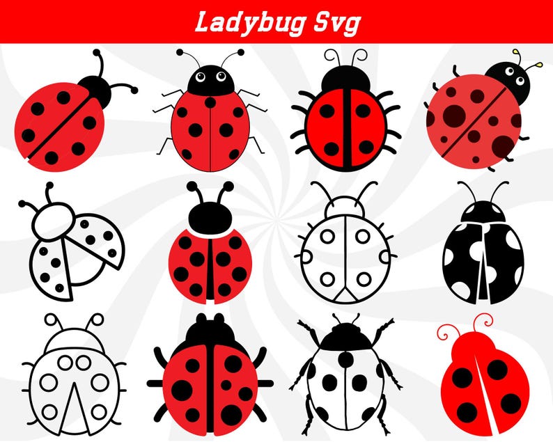 Ladybug Svg, Ladybug Outline, Ladybug Silhouette, Ladybug Vector, Ladybug Clipart, Insect Svg ...