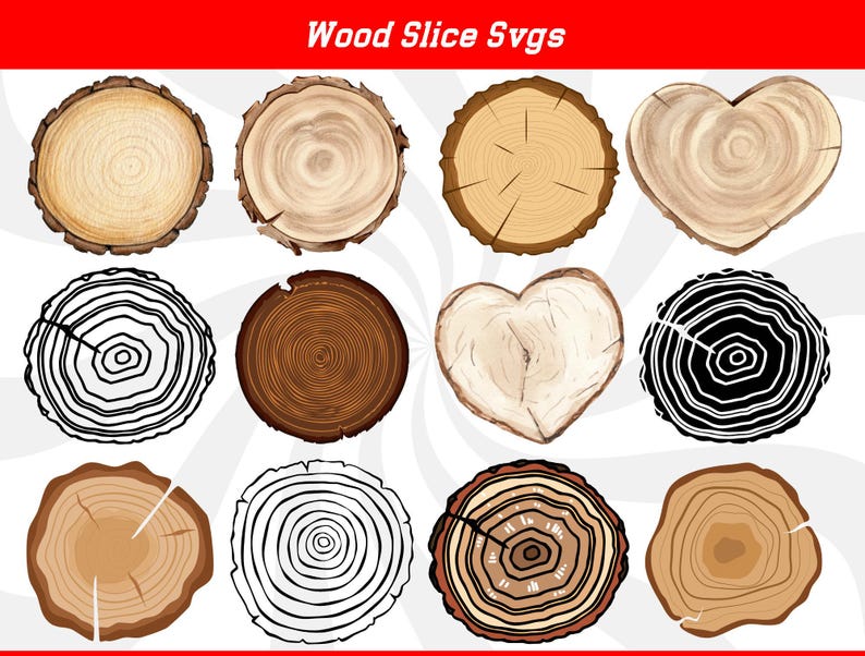 Wood Slice Svg, Tree Rings Svg, Wood Slice Vector, Tree Slice Svg, Tree ...