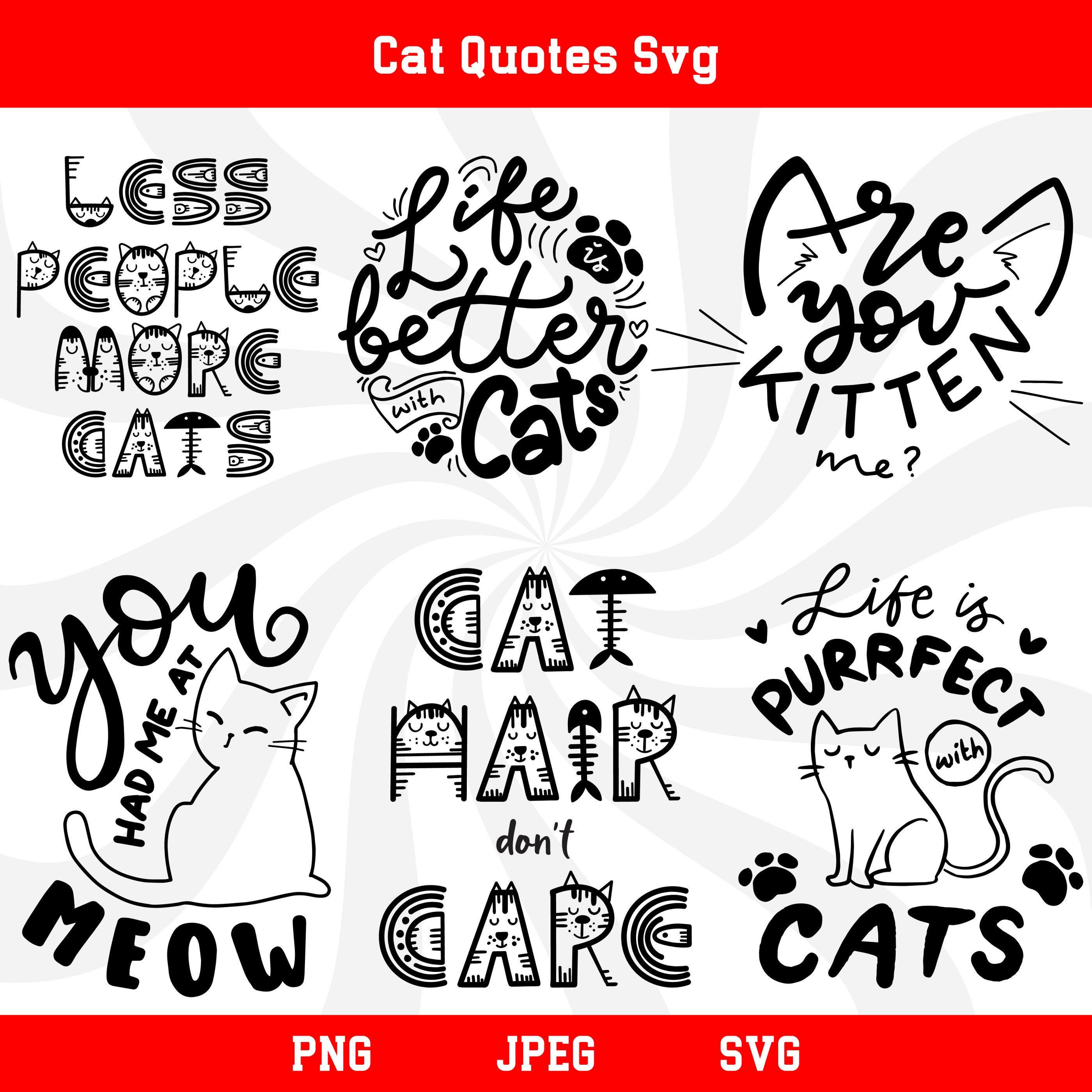 Cat Quotes Svg, Cat Svg Bundle, Cat Clipart, Cat Lover Svg, Animals ...