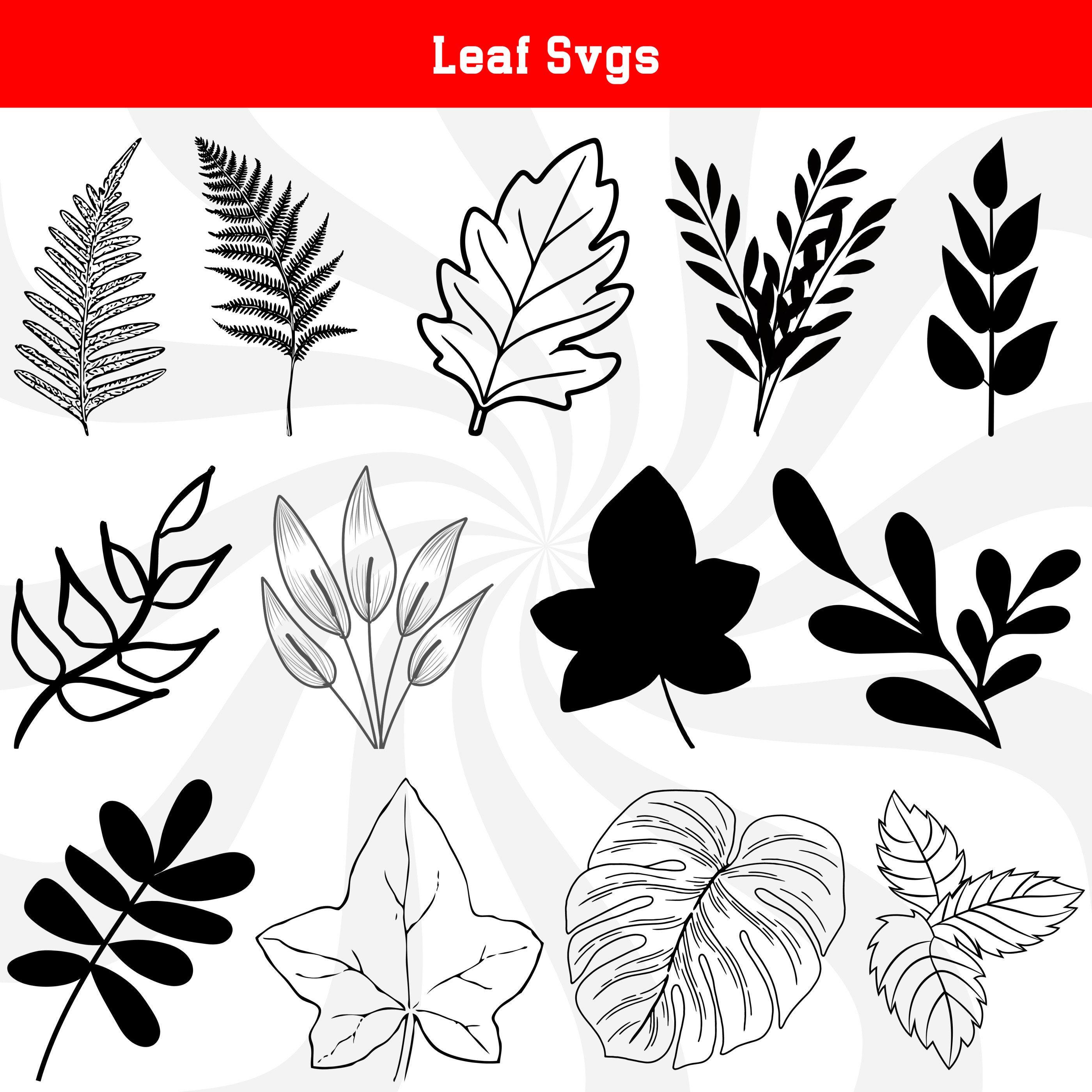 Leaf Svg Bundle, Leaves Svg Files, Leaf Svg, Leaves Vector, Leaves Cut ...