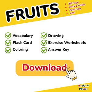 Fruit Vocabulary, Fruit Flash Card, Fruit Vocabulary Card, Worksheet ...
