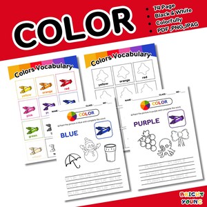 Color Vocabulary/flash Card/ Cut and Paste/ Classroom Exercise ...