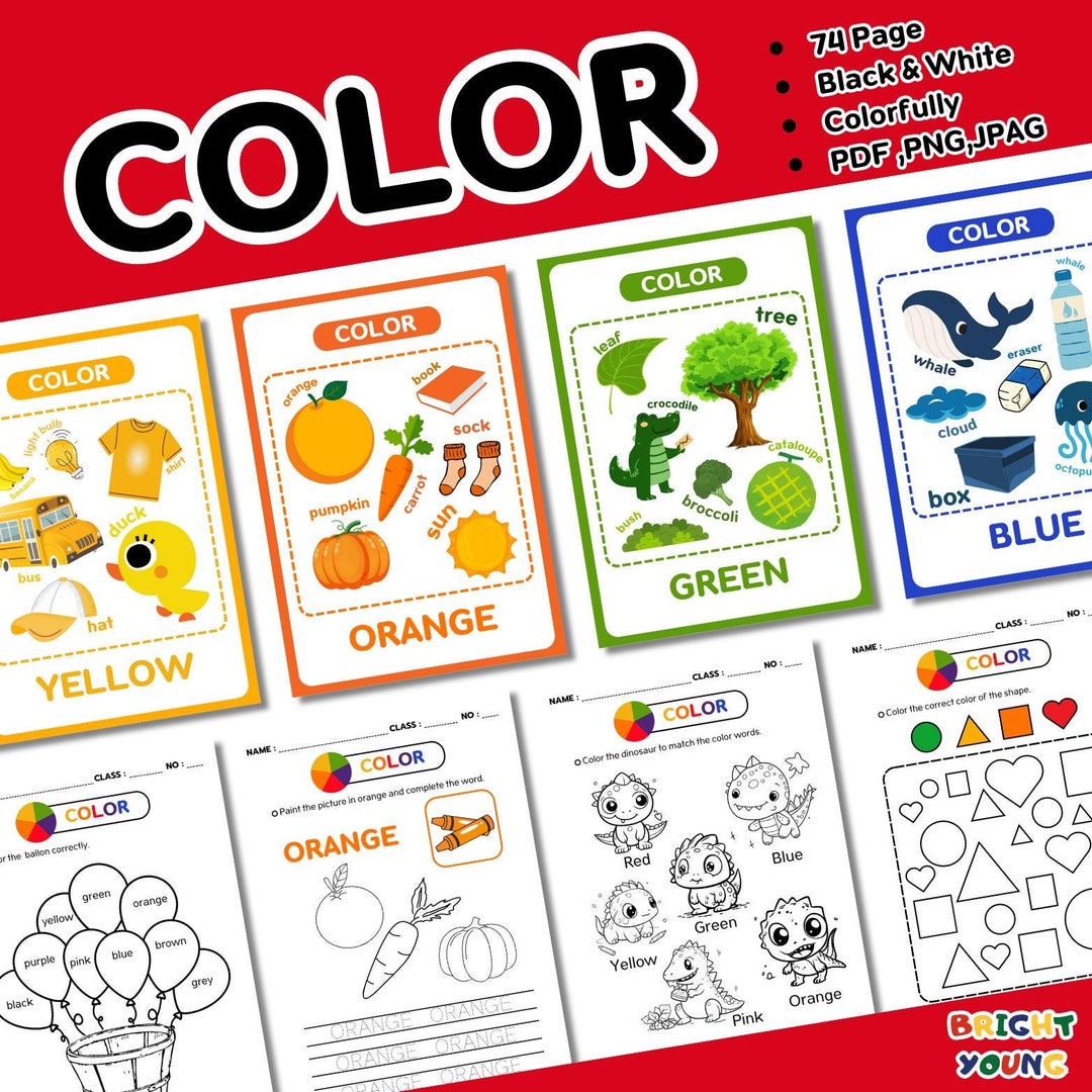Color Vocabulary/flash Card/ Cut and Paste/ Classroom Exercise ...