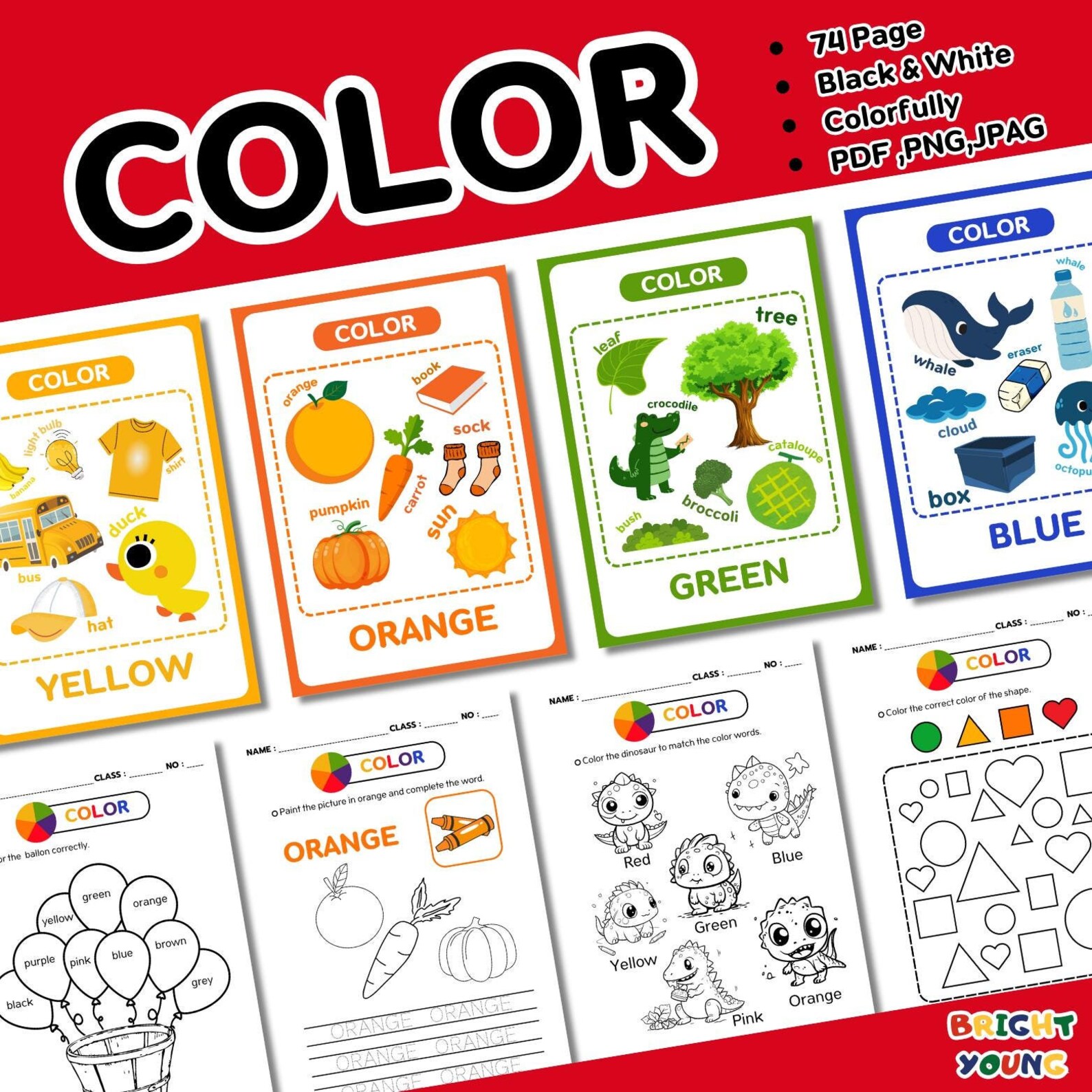 Color Vocabulary/flash Card/ Cut and Paste/ Classroom Exercise ...