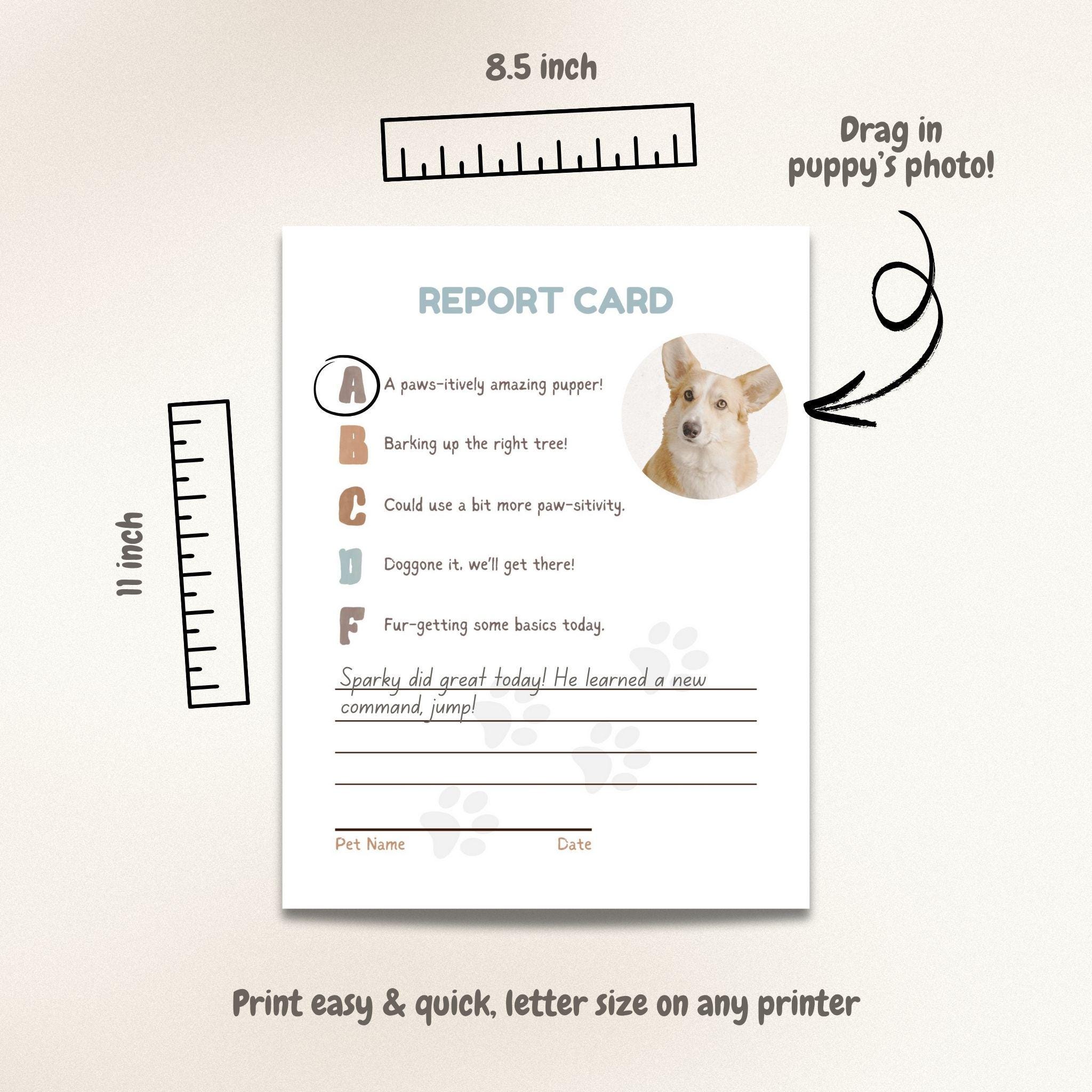 Dog Report Card Template | Pet Groomer, Trainer (digital Download) - Etsy