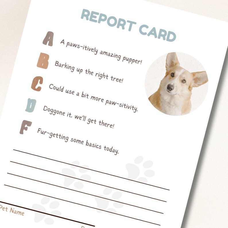 Dog Report Card Template | Pet Groomer, Trainer (digital Download) - Etsy