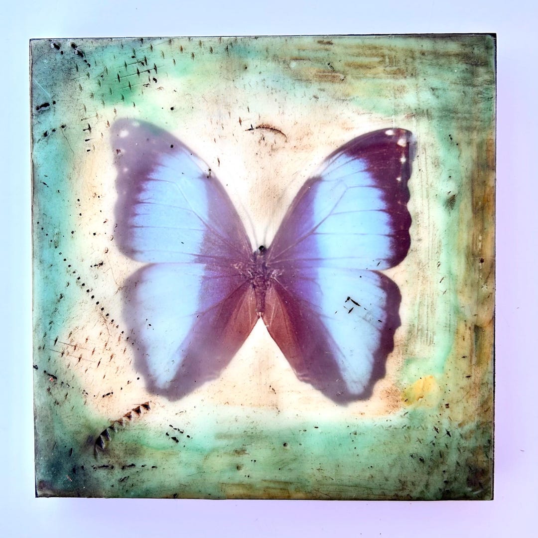 Blue Butterfly Original Artwork, Encaustic Collage, Nature Inspired ...