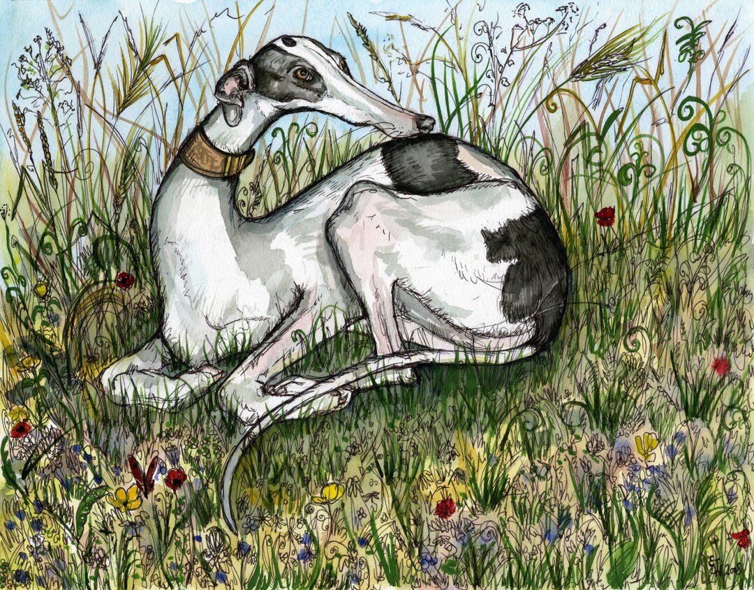 Greyhound Art Print - Etsy