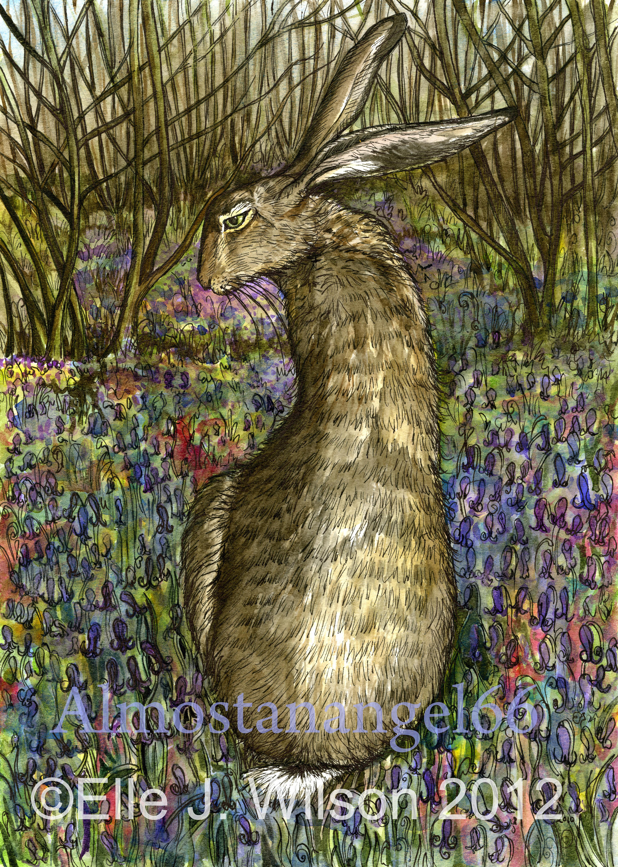 Hare Art Print - Etsy