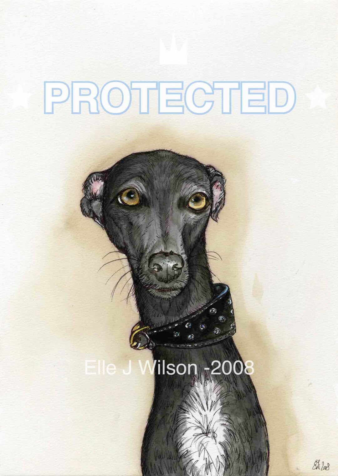 Italian Greyhound Art Print - Etsy