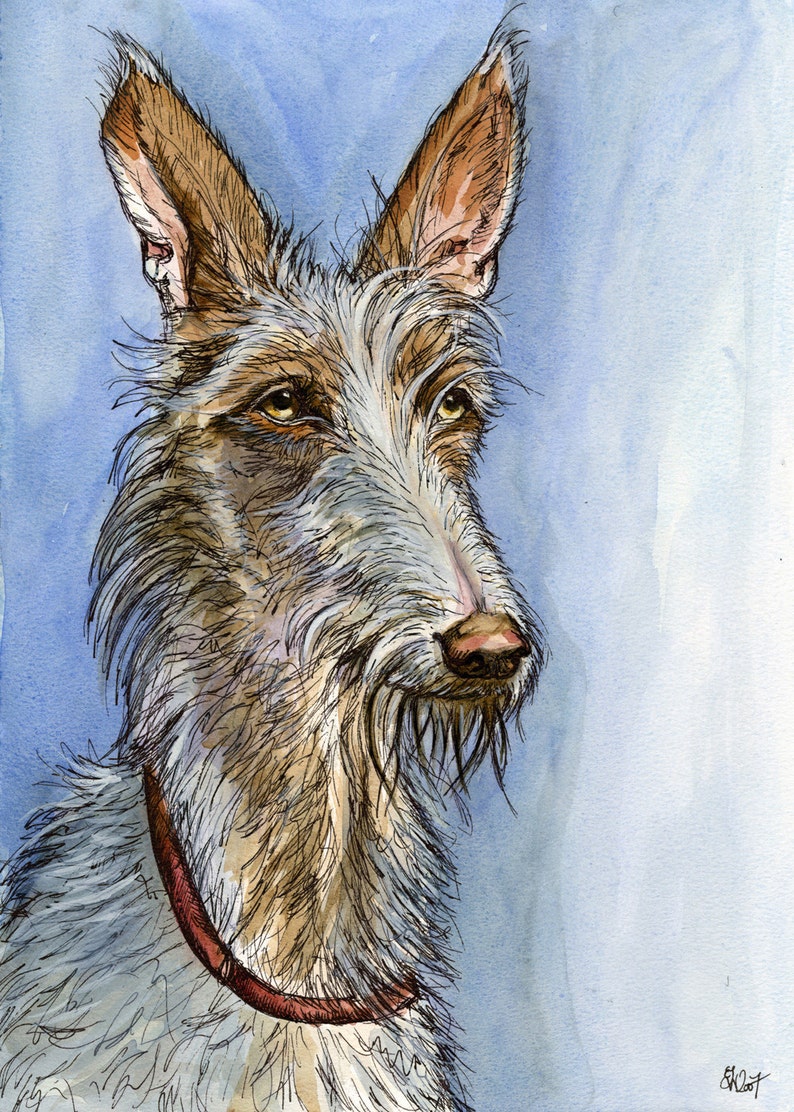 Archaically - Wire Hair Ibizan Hound Dog Art Print - Etsy