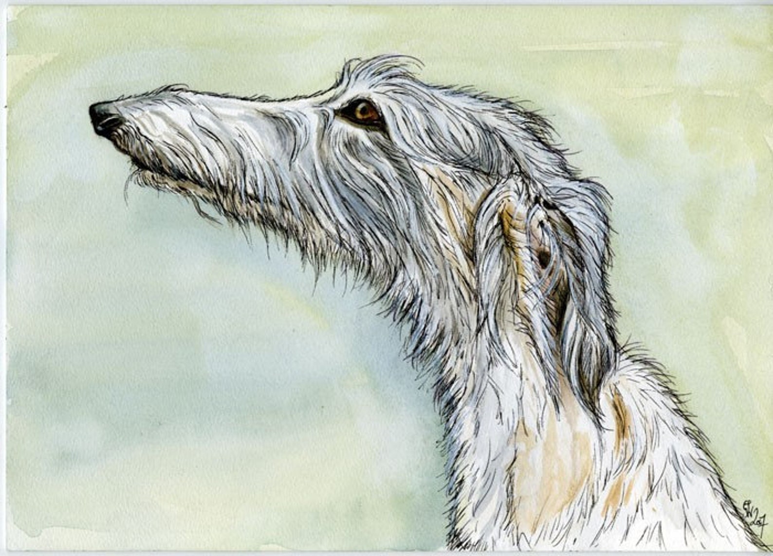 DOG ART Lurcher Hound Print | Etsy