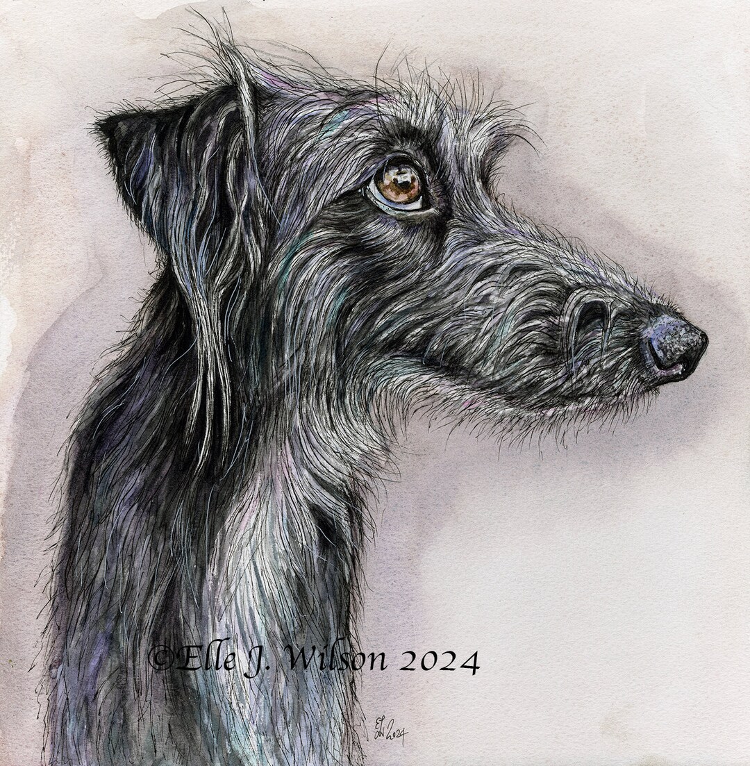 DOG ART- Lurcher Hound Dog Print - Etsy