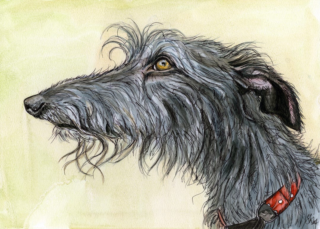Lurcher Art Print - Etsy