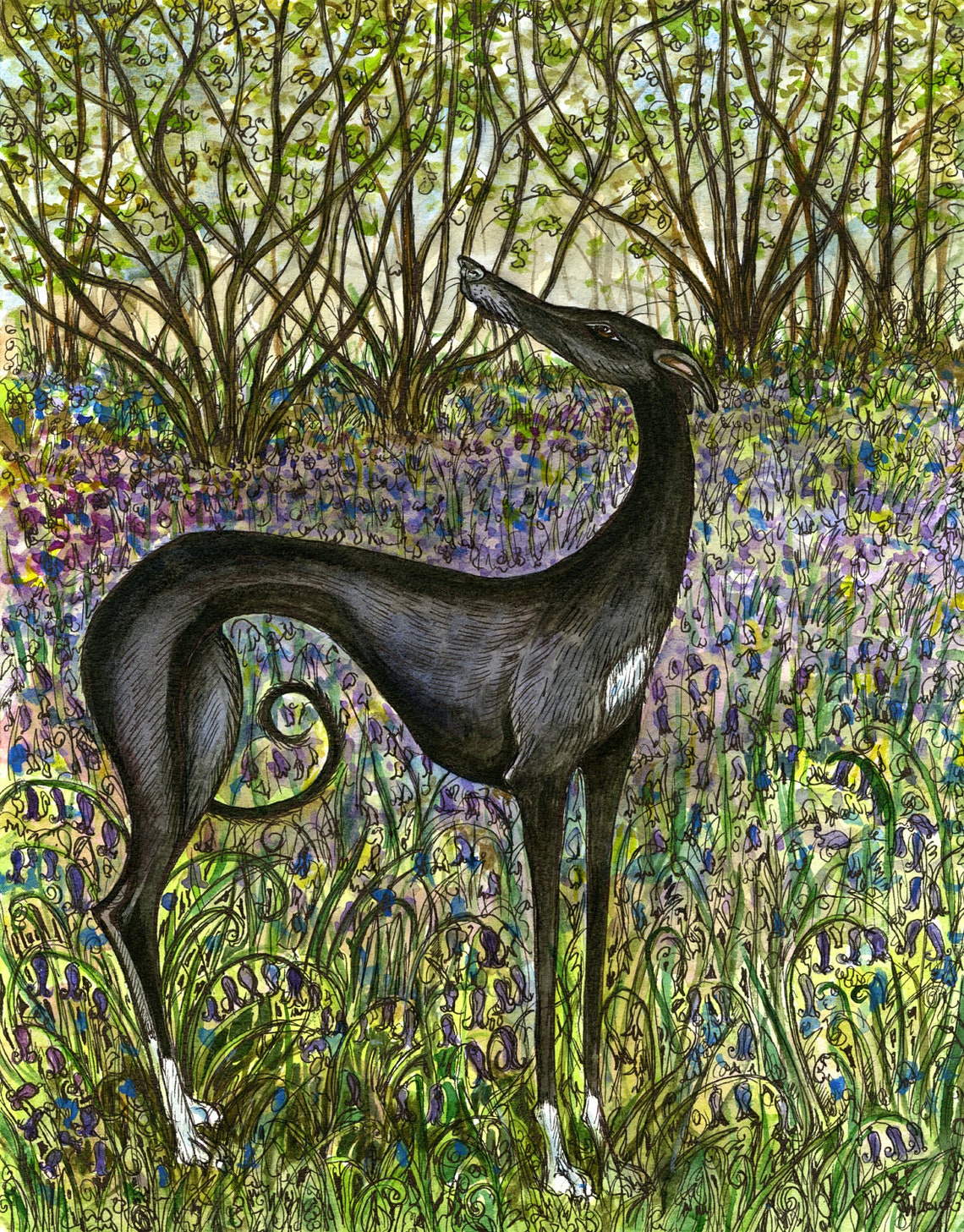 Greyhound Art Print - Etsy