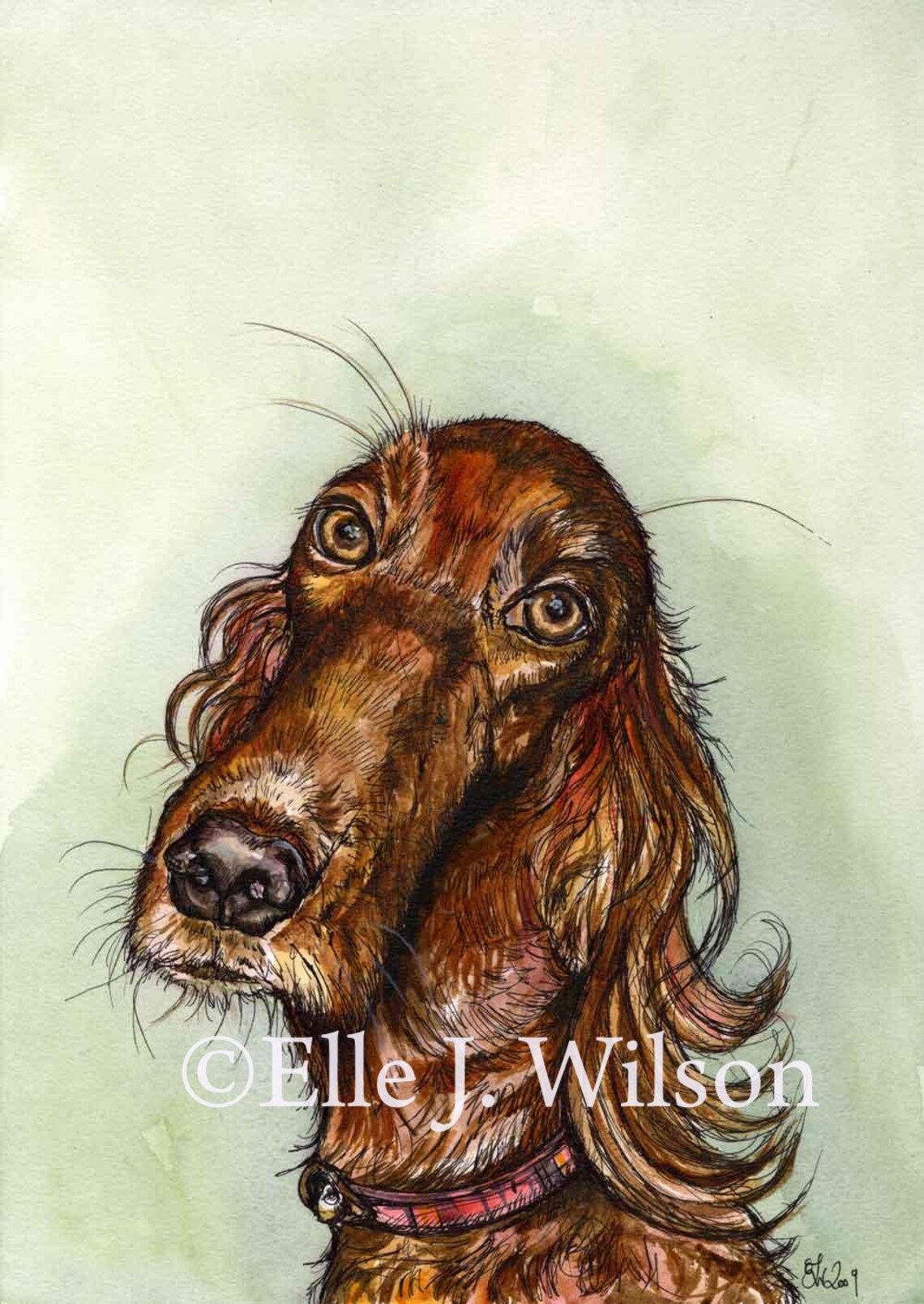 Red Setter Art DOG Print | Etsy