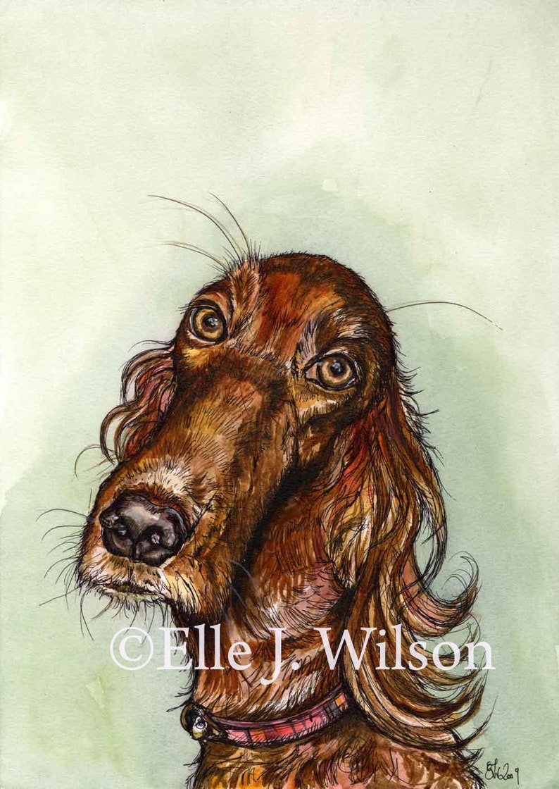 Red Setter Art DOG Print | Etsy